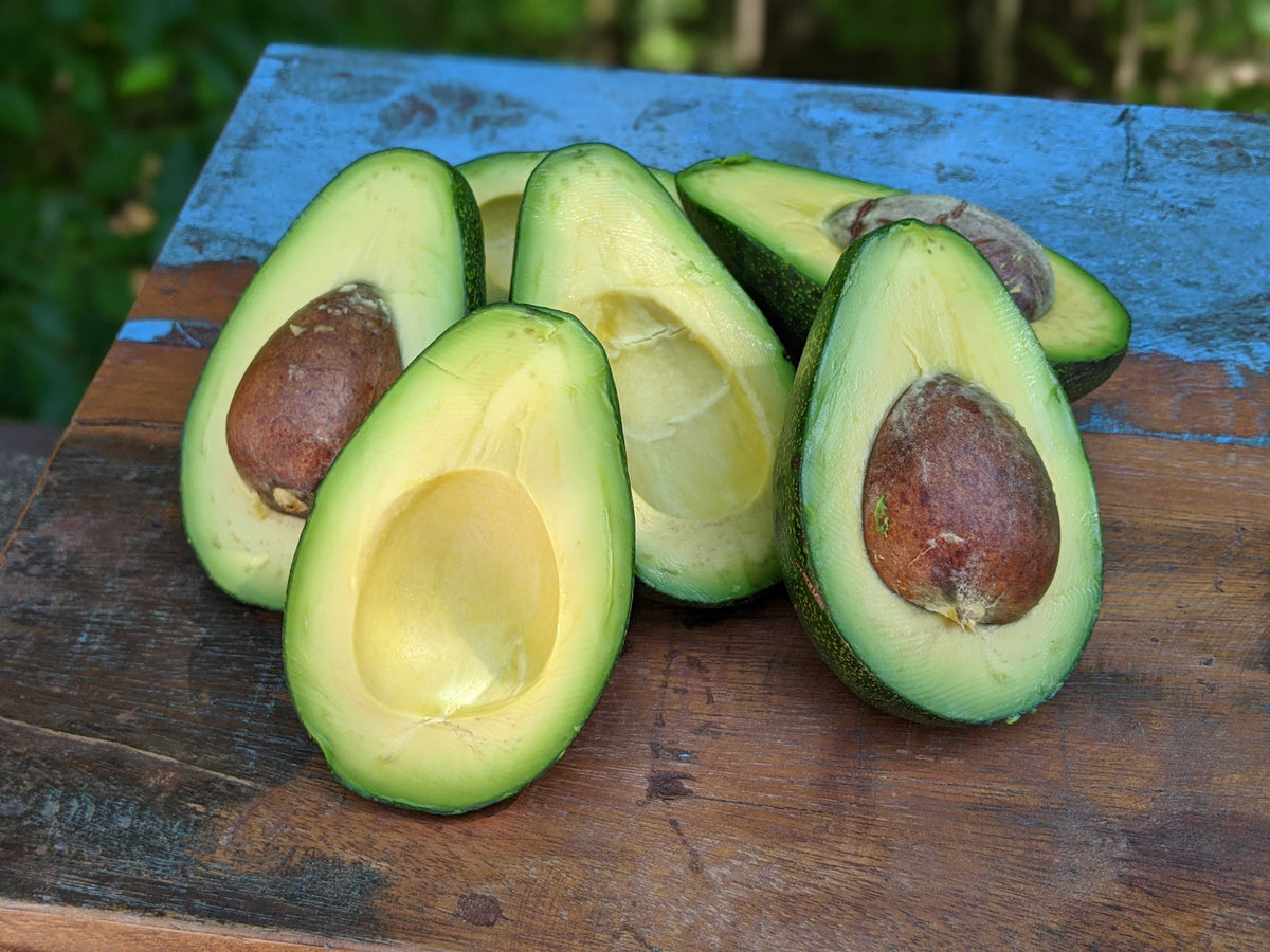 Fuerte Avocados (4lb box of avocados) Shipping week of 6/2/25 - LAST S ...
